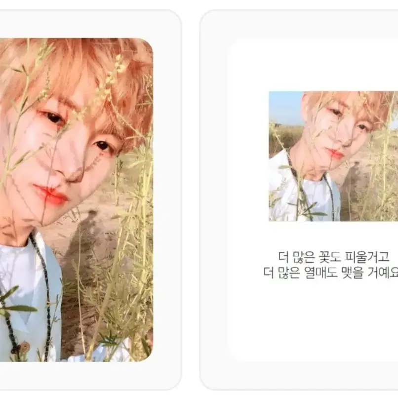NCT photocard NCT poca custom order sale demand survey #nct,#nct포카,#엔시티 ...
