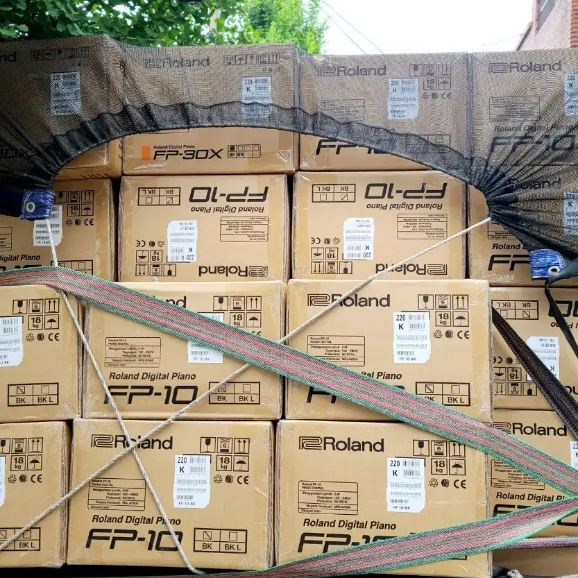 ROLAND | 롤랜드 Roland FP10 / FP-10 Digital Piano (Genuine/New/Same Day ...