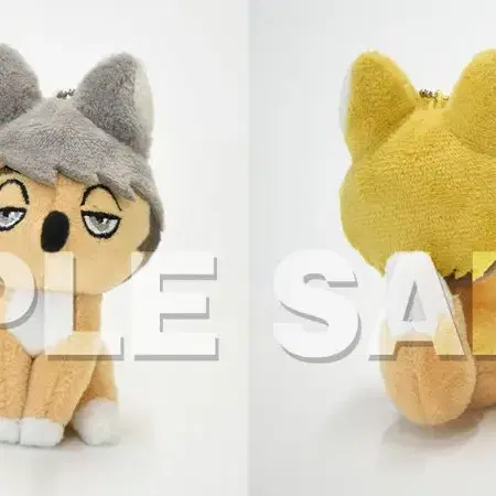 Haikyuu blu-ray Link purchase pre-order benefit Atsumu Miya & Osamu Fox ...