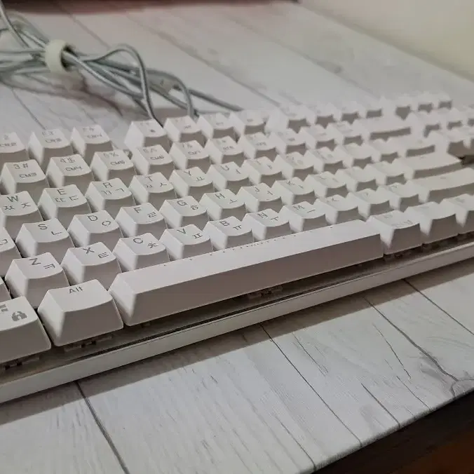 Zyxel STORMX TITAN MARK V Gaming Keyboard (Gaming) #제닉스키보드,#갈축,#기계식키보드 ...