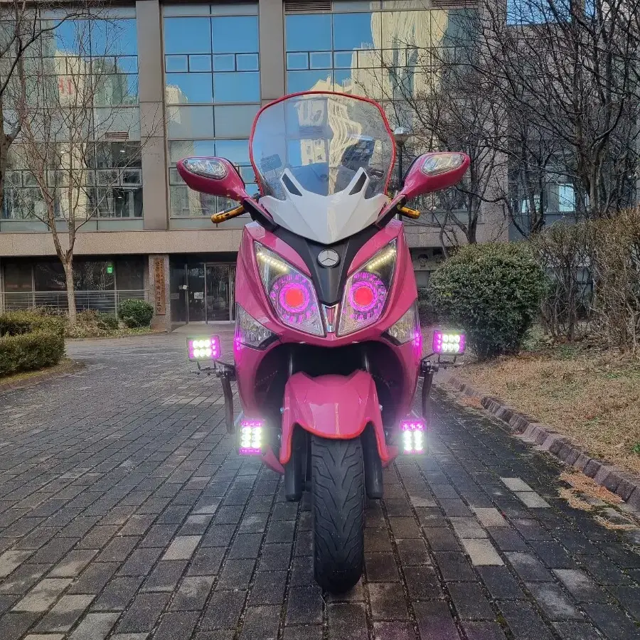 FORZA Motorcycle (Over 125cc) xmax,nmax,pcx,c600,tmax on Bunjang with ...