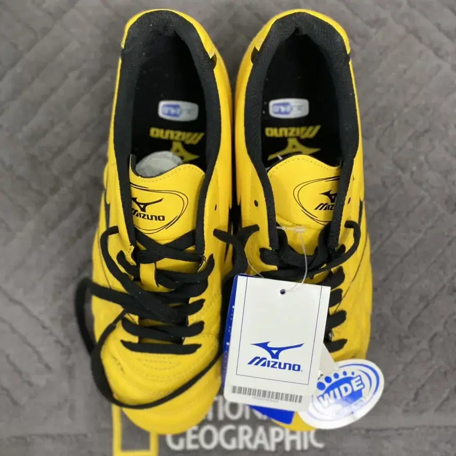 MIZUNO Soccer/Indoor Soccer Shoes 미즈노,미즈노축구화,미즈노풋살화,신발,240 on Bunjang ...