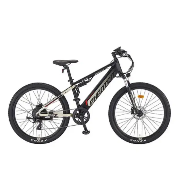 SAMCHULYBICYCLE Electric/Hybrid 전기자전거,삼천리자전거 on Bunjang Global Site.