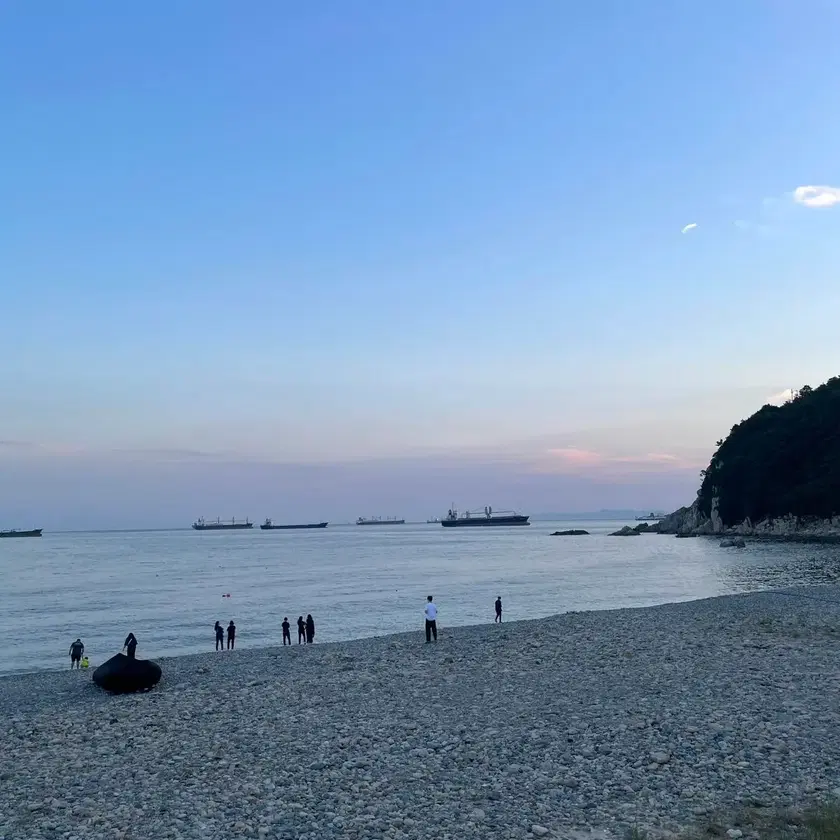 We are selling four types of bulk (each available) of the Sandon Lord ...