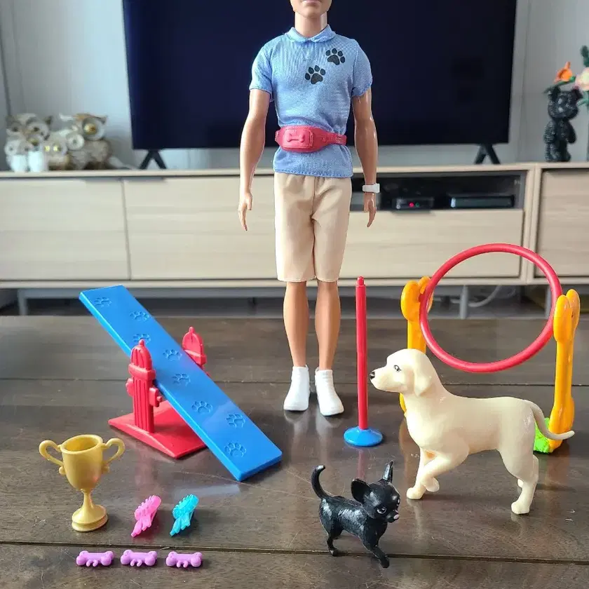 Bobby Ken doll Trainer Play Set on Bunjang Global Site.