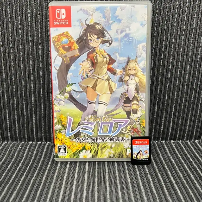 Remi Re:Zero - The Beginning, Girls and Other Worlds, and the Book of ...