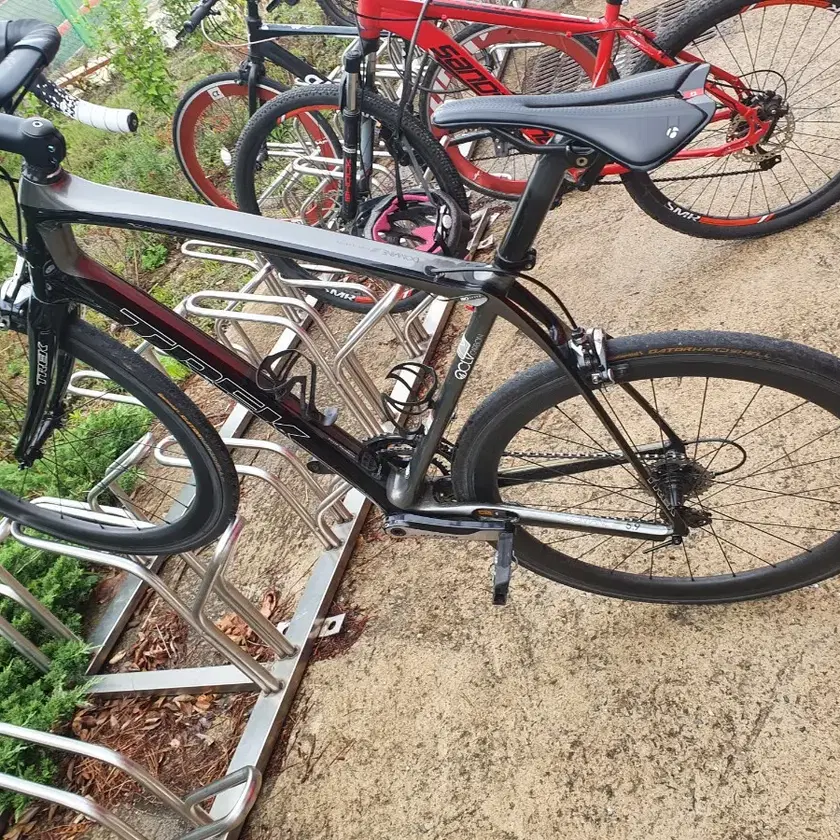 TREK | 트렉(TREK) Trek Domane 5.9 58 size frame for sale #트렉,#58사이즈,#5.9 ...