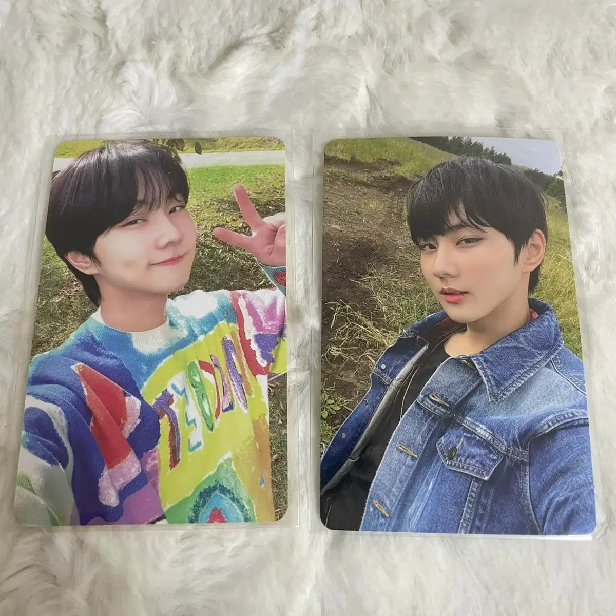 ENHYPHEN Photo Card 엔하이픈포카,정원포카,정원양도 on Bunjang Global Site.