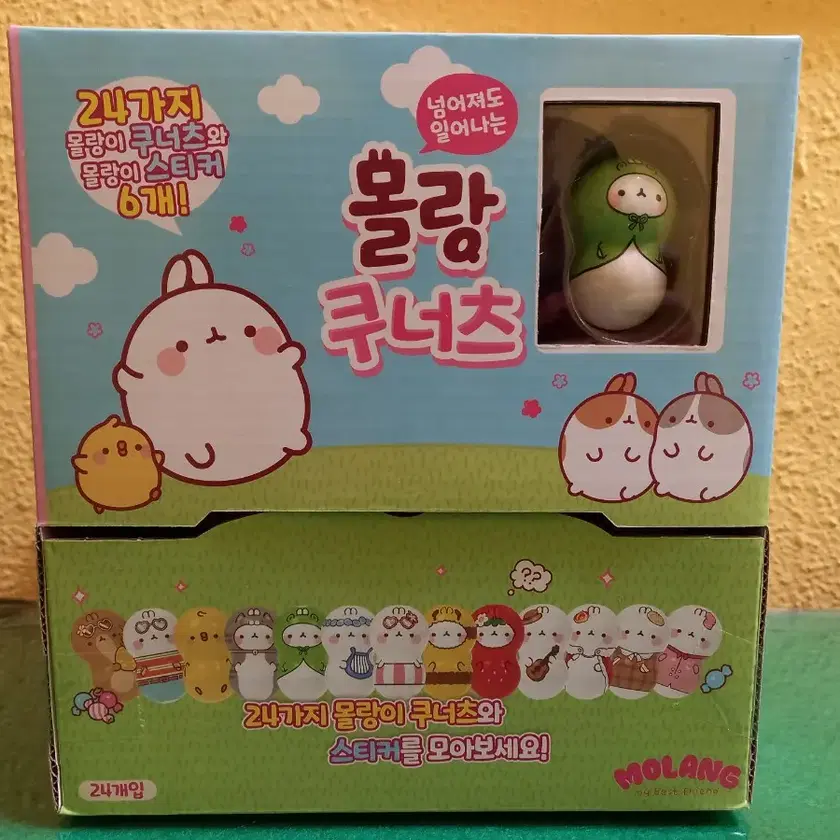 Molang Coonuts Flippers Toy 24 unsealed #몰랑쿠너츠,#몰랑이플리퍼즈,#몰랑이장난감,#몰랑이피규어 ...