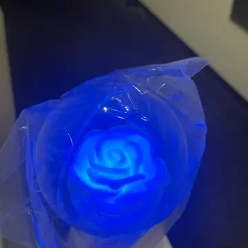 Cheering Tool [object Object] on Bunjang Global Site.