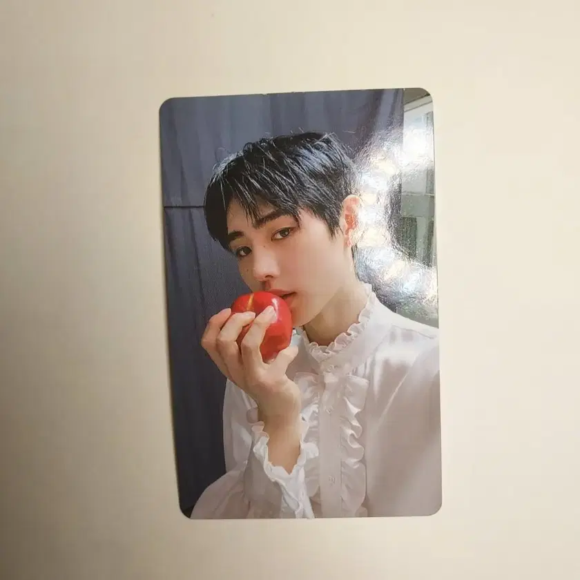 ENHYPHEN Photo Card Enhypen,엔하이픈성훈,박성훈,성훈포카,포카 on Bunjang with safe ...