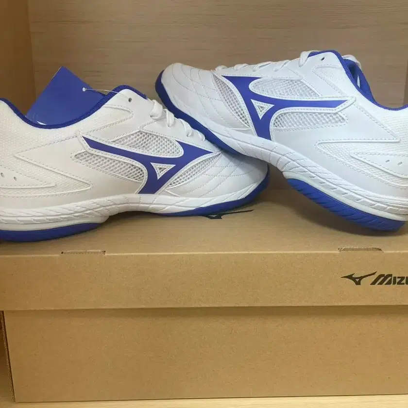 MIZUNO | 미즈노 (New product) Mizuno Wave Drive 9 Table Tennis Shoes #탁구,#탁구화,#운동화,#270 on Bunjang ...