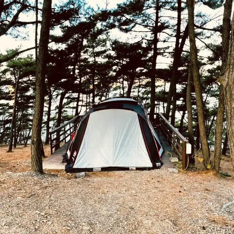 COLEMAN | 콜맨 Coleman Weathermaster 4S Wide 2-Room Cocoon3 Tent on ...