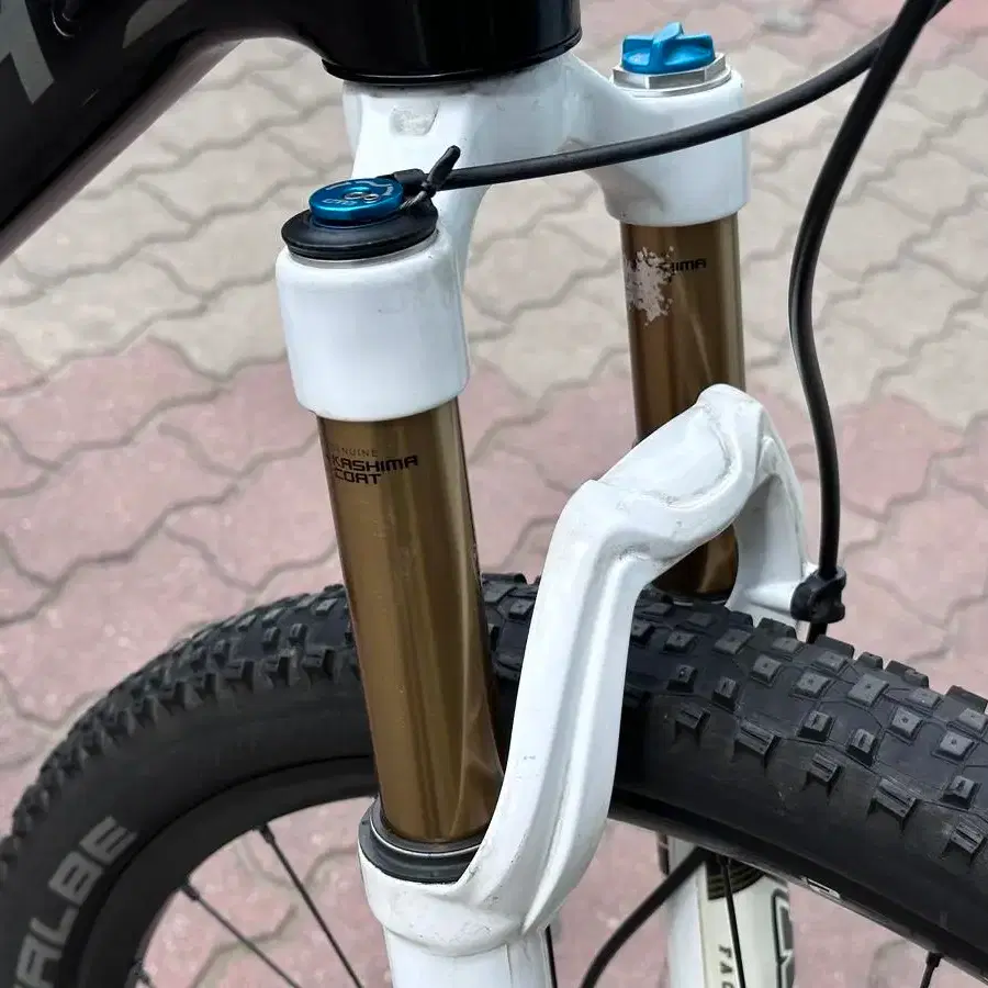 ELFAMA MTB/Mountain 환타시아,xs사이즈,풀카본mtb,여성용자전거,카본mtb자전거 on Bunjang with safe global shipping.