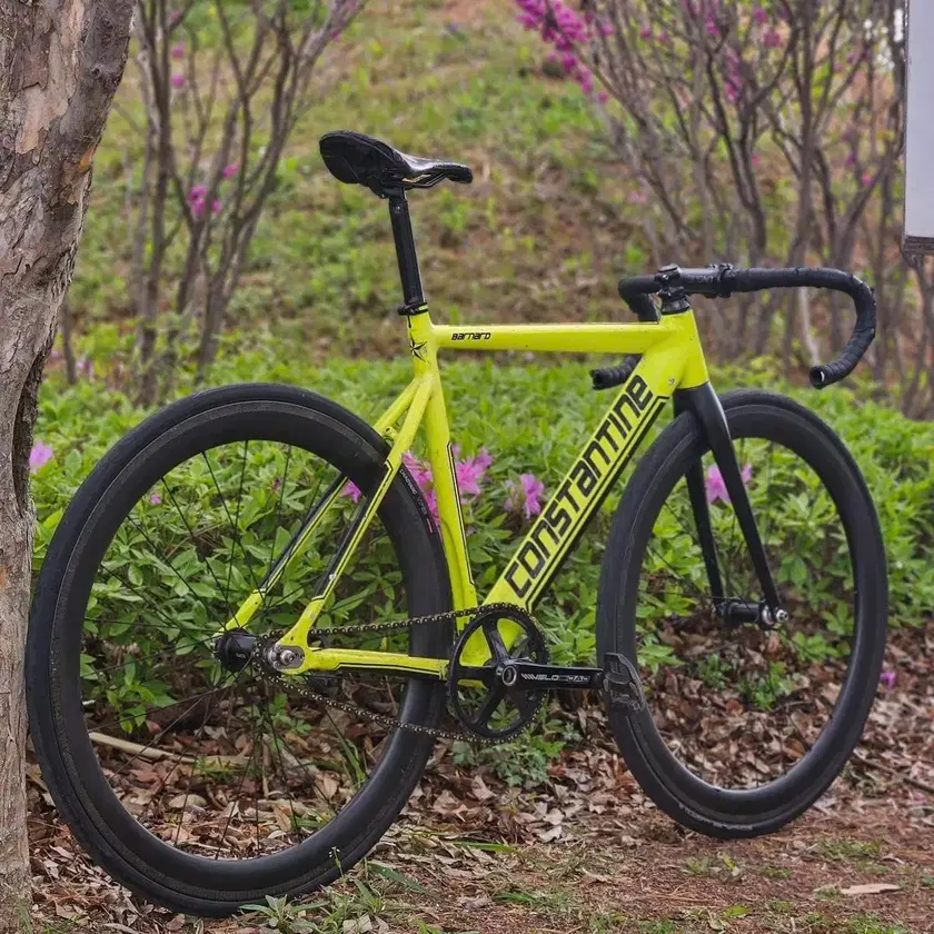 CONSTANTINE Classic/Fixie 콘스탄틴버나드,형광버나드,버나드,버나드16 on Bunjang Global Site.