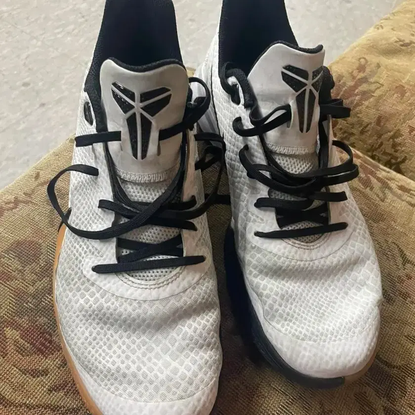 코비 맘바포커스 275 #코비맘바,#맘바포커스,#코비맘바포커스,#코비맘바레이지,#농구화 on Bunjang Global Site.