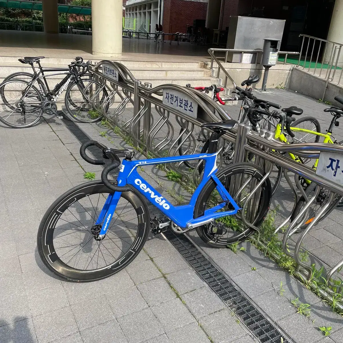 CERVELO Classic/Fixie 써벨로,트랙차 on Bunjang Global Site.