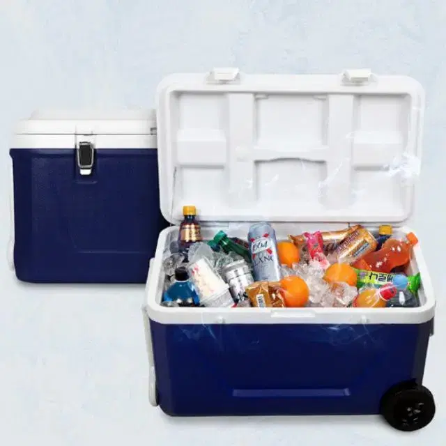 [Free Shipping] 45L Large Capacity Camping Ice Box Wheeled Ice Box ...