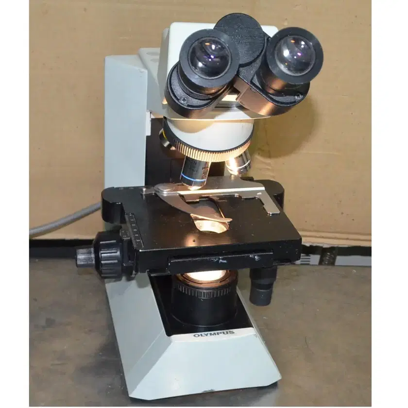 Olympus CX31 Microscope on Bunjang Global Site.