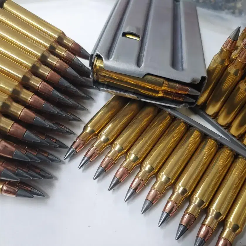 5.56mm M855a1 US military new ironclad dummy rounds for sale on Bunjang ...