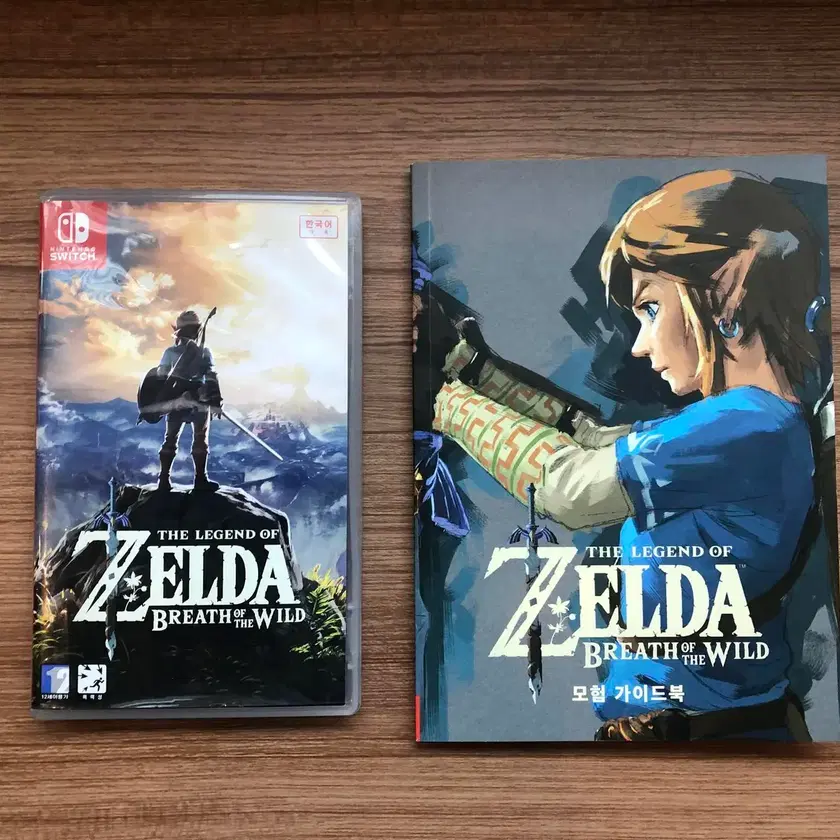 NINTENDO | 닌텐도 Nintendo Switch Legend of Zelda: Breath of the Wild ...