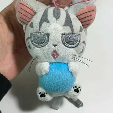 Cheese Sweet Home Cat Doll on Bunjang Global Site.