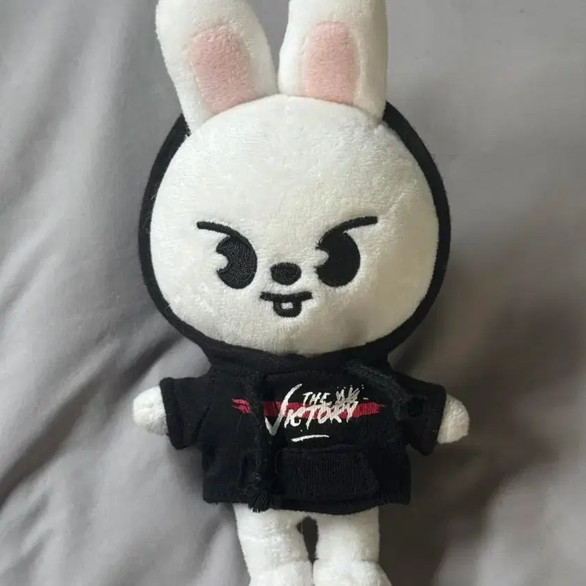 STRAY KIDS | 스트레이키즈 Skz lee know skzoo Mini-Libit WTS #스키즈리빗,#스키주리빗,#스키 ...