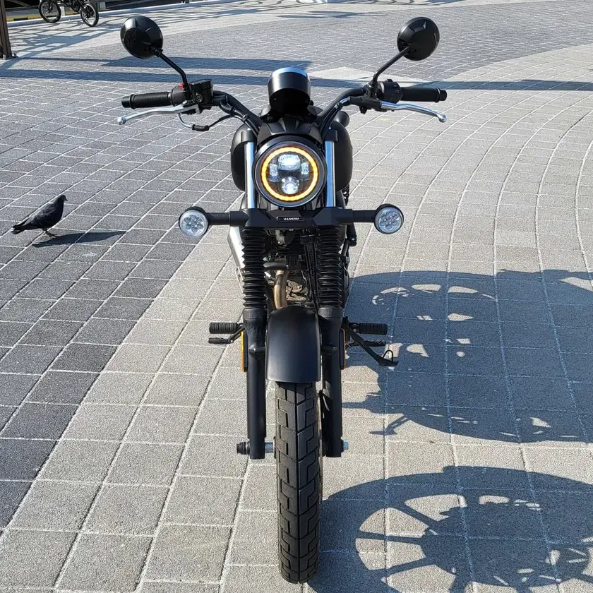 (Busan) Motorcycle Hansom Benet 125 24(2024) year old to sell. #오토바이 ...