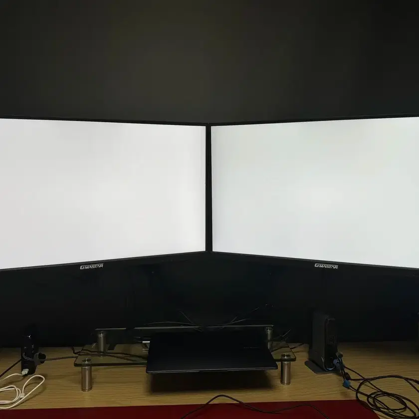 Two 27-inch QHD monitors + LunaLab dual monitor arm #모니터,#듀얼,#모니터암,#루나랩 ...