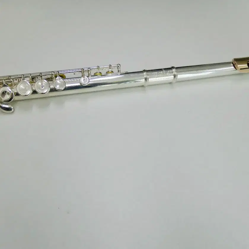 Wind Instruments on Bunjang Global Site.