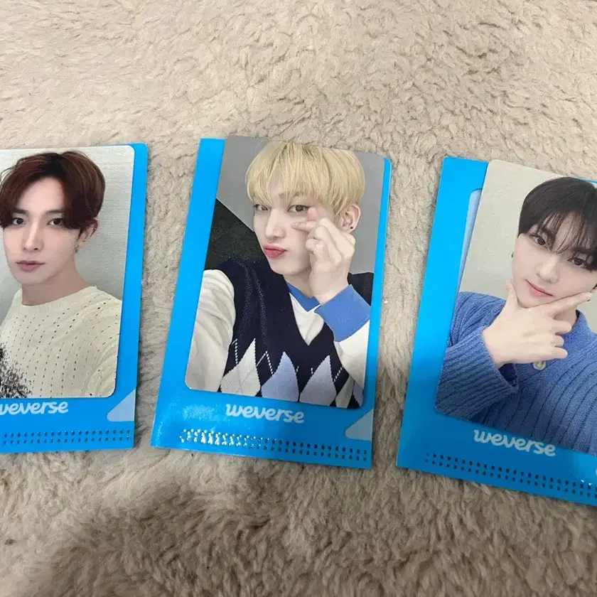 ENHYPHEN Photo Card 엔하이픈,위버스콘엔하이픈,엔하이픈포카,위버스콘 on Bunjang Global Site.