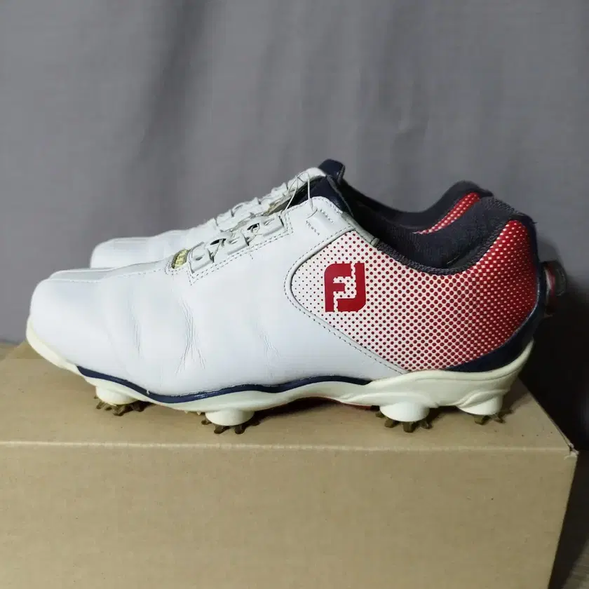 FOOTJOY | 풋조이 250mm Footjoy DNA Helix Boa Golf Shoes on Bunjang Global ...