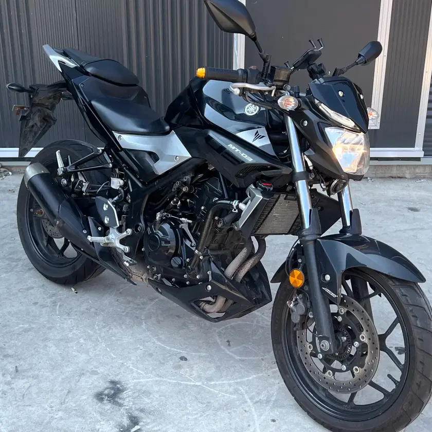 mt03/16년식 2만km 210만원 최저가 판매합니다. #mt03,#야마하mt03,#야마하r3 on Bunjang Global Site.