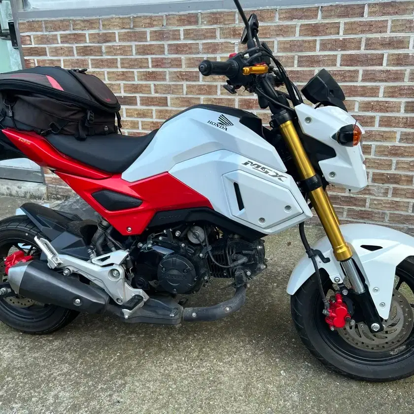 Msx125 2020 #오토바이125cc,#Msx125,#입문용 on Bunjang Global Site.