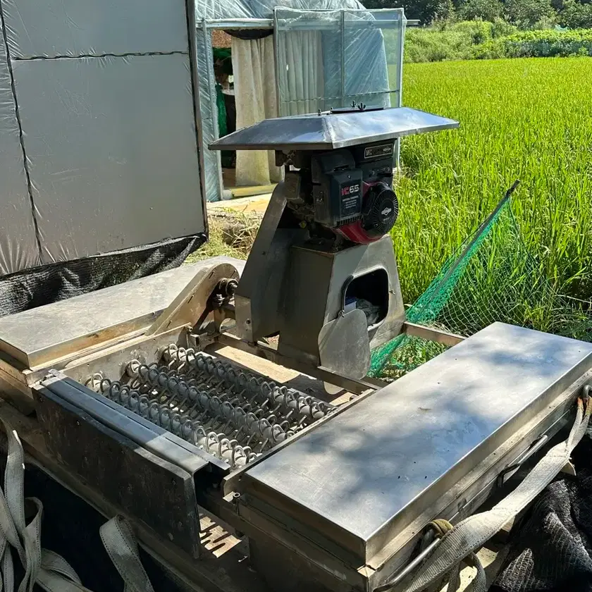 Automatic buttercup root cleaning machine (there are 2) #중고농기계,#농기계 on ...