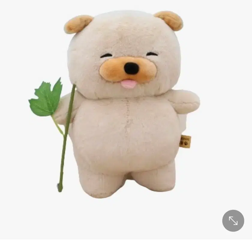 Bokdol doll New Arrivals on Bunjang Global Site.