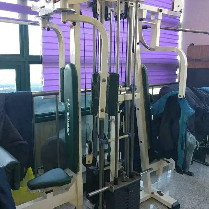 Comprehensive health exercise equipment on Bunjang Global Site.