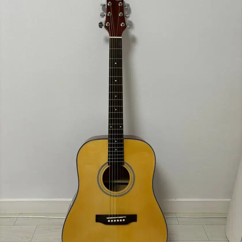 Entry-level guitar (Craftsman Wholebody Guitar Ashland AD-7NT) on ...