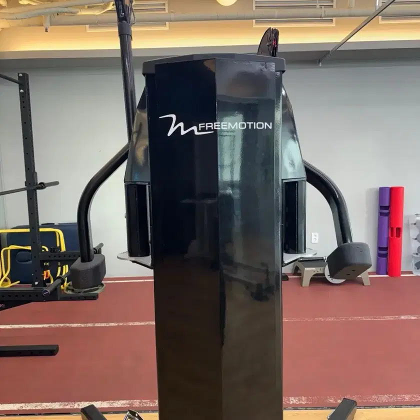 Free Motion Cable Machine on Bunjang Global Site.