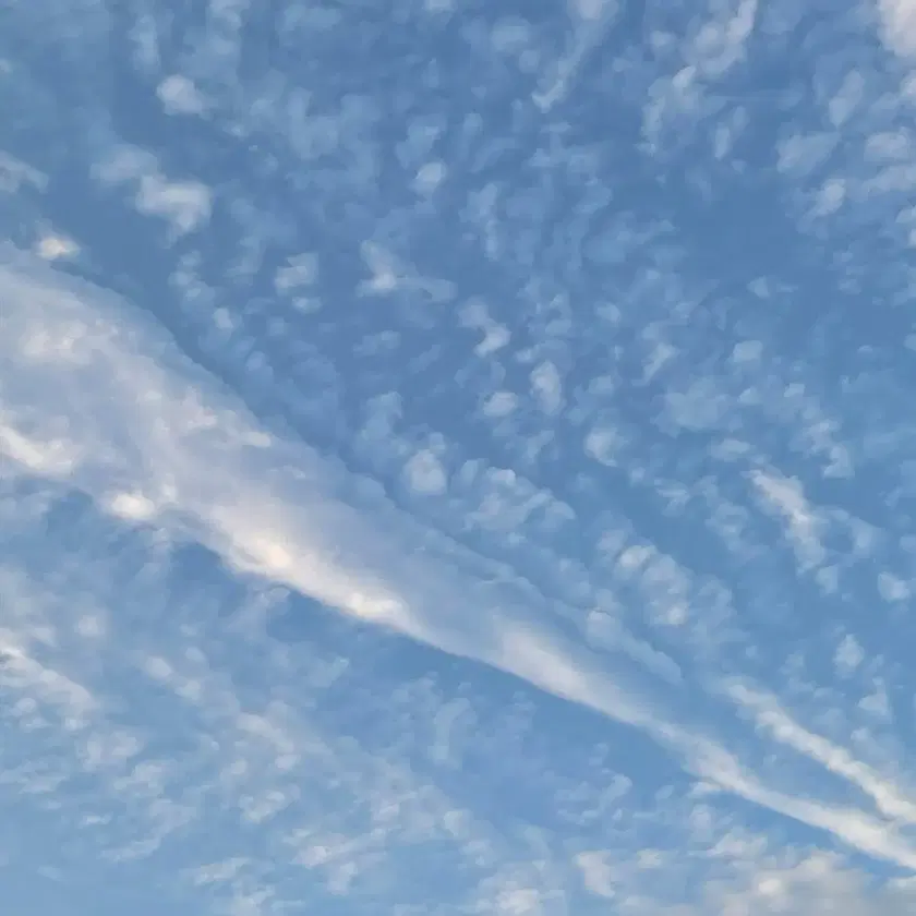 STUDIO GHIBLI | 스튜디오 지브리 Ghibli Witch Doctor Kiki Support Piggy Bank on ...