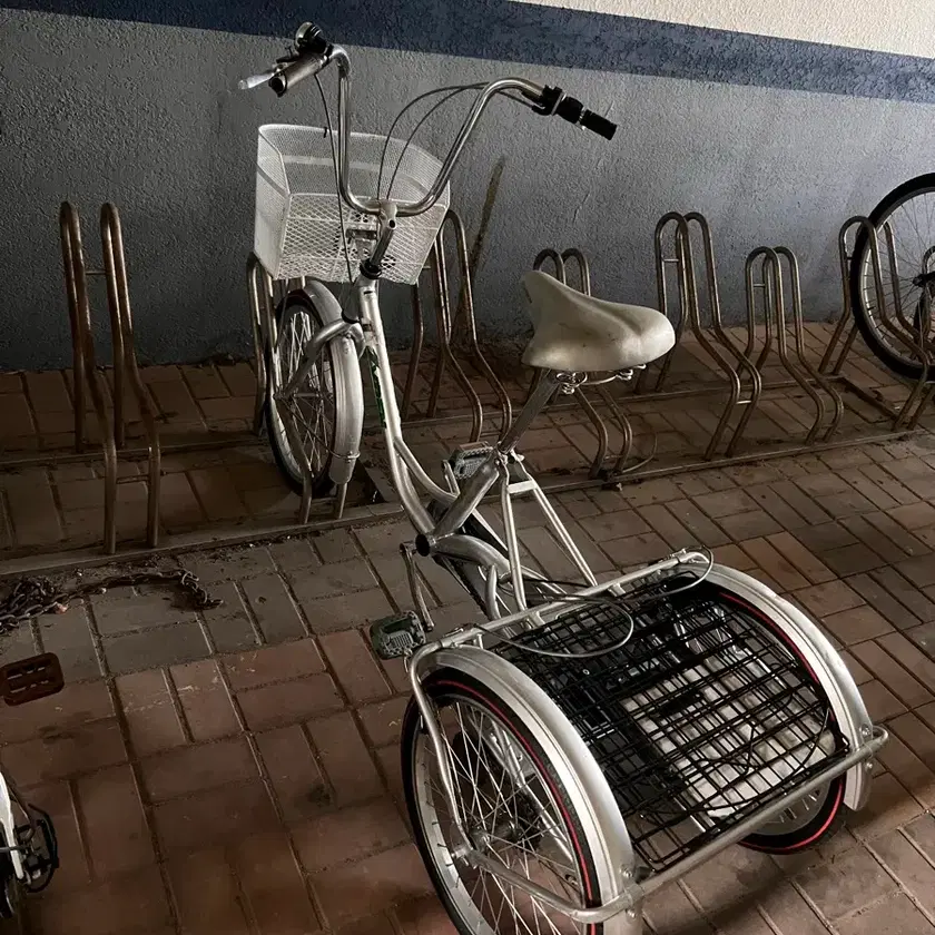 ZYDEN ZYDEN Adult Tricycle on Bunjang Global Site.