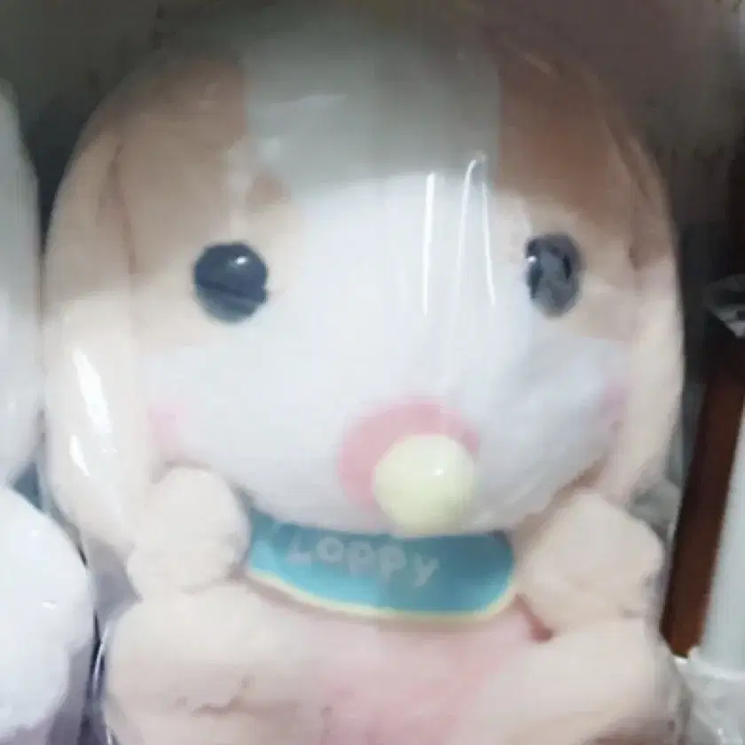 Genuine Japan - Amuse Roppy Baby Milk Tea Big Size Doll #어뮤즈,#롯삐,#동물인형 ...