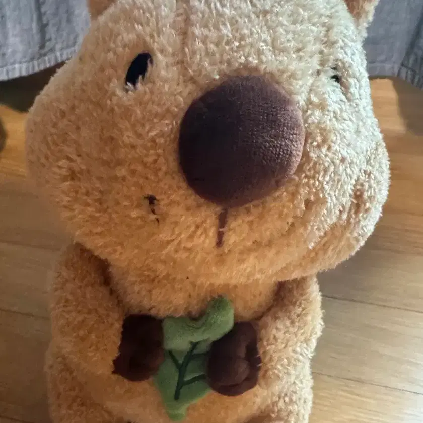 Quokka with leaves Doll on Bunjang Global Site.