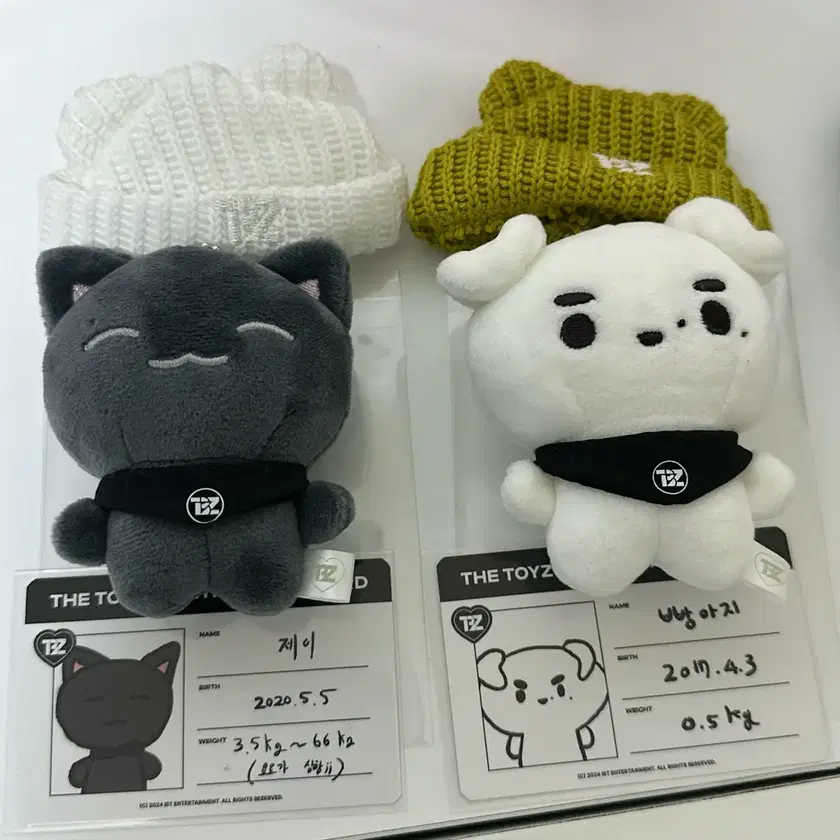 THE BOYZ | 더보이즈 The Boyz younghoon juyeon doll 빵아지 jay 양도 #더보이즈,#영훈,#주연 ...