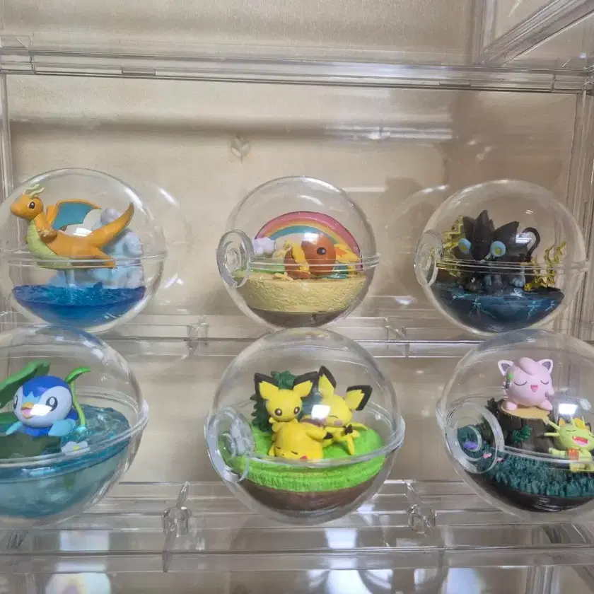POKÉMON | 포켓몬스터 Pokémon Remen-Terarium 9th Edition for Sale on Bunjang ...