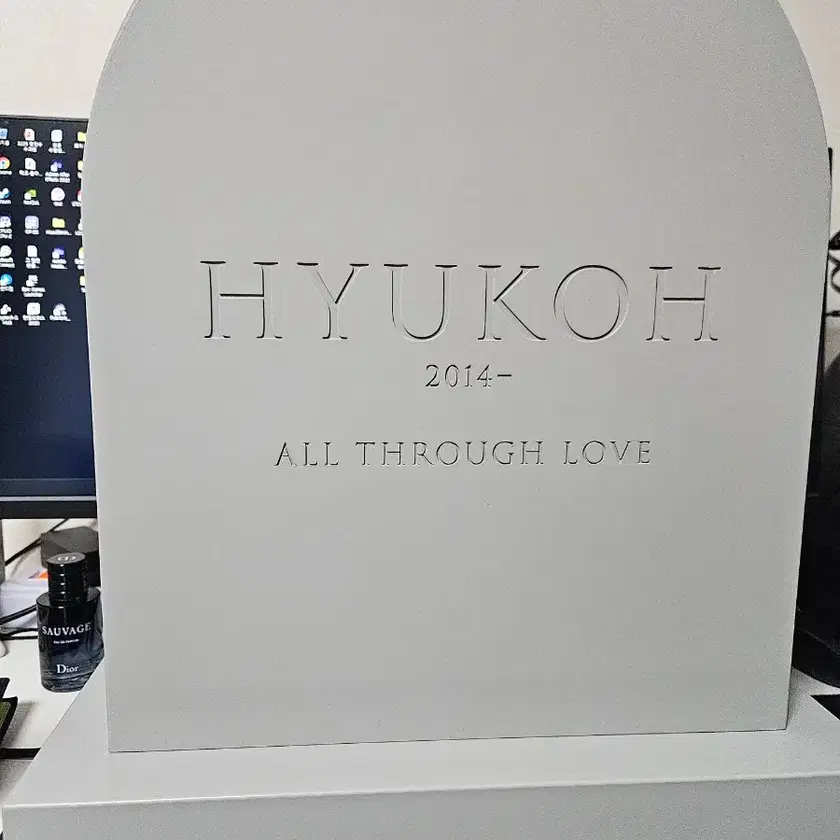 Hyukoh LP Monument Case #혁오,#lp,#프라그먼트,#혁오프라그먼트,#lp케이스 on Bunjang ...