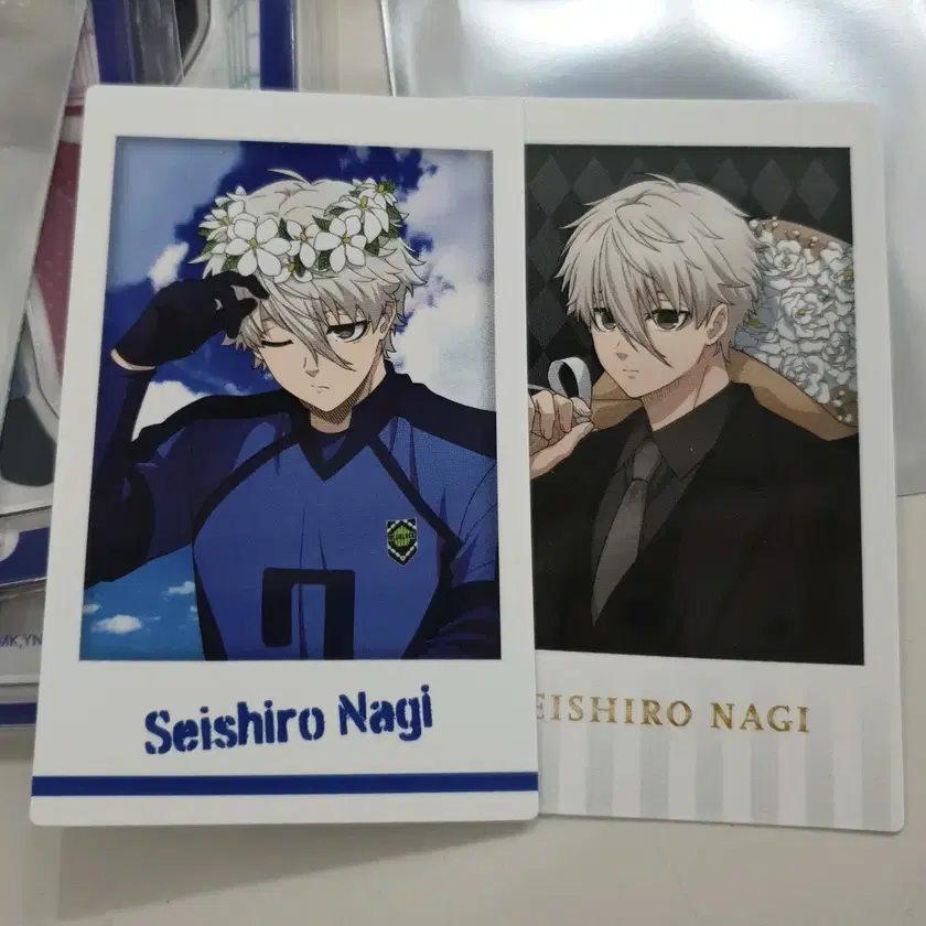 BLUELOCK | 블루록 BLUELOCK Nagi birthday flower birth flower Pasha poca ...