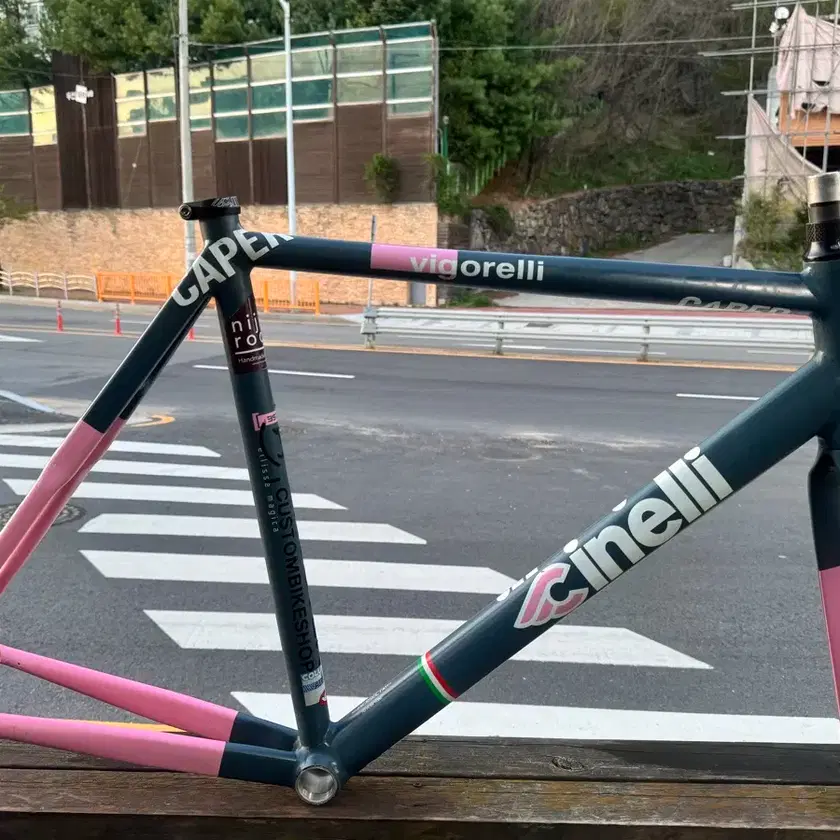 CINELLI | 치넬리 Cinerelli Bigorelli Bigorosa L Size Frameset #치넬리비고로사 ...