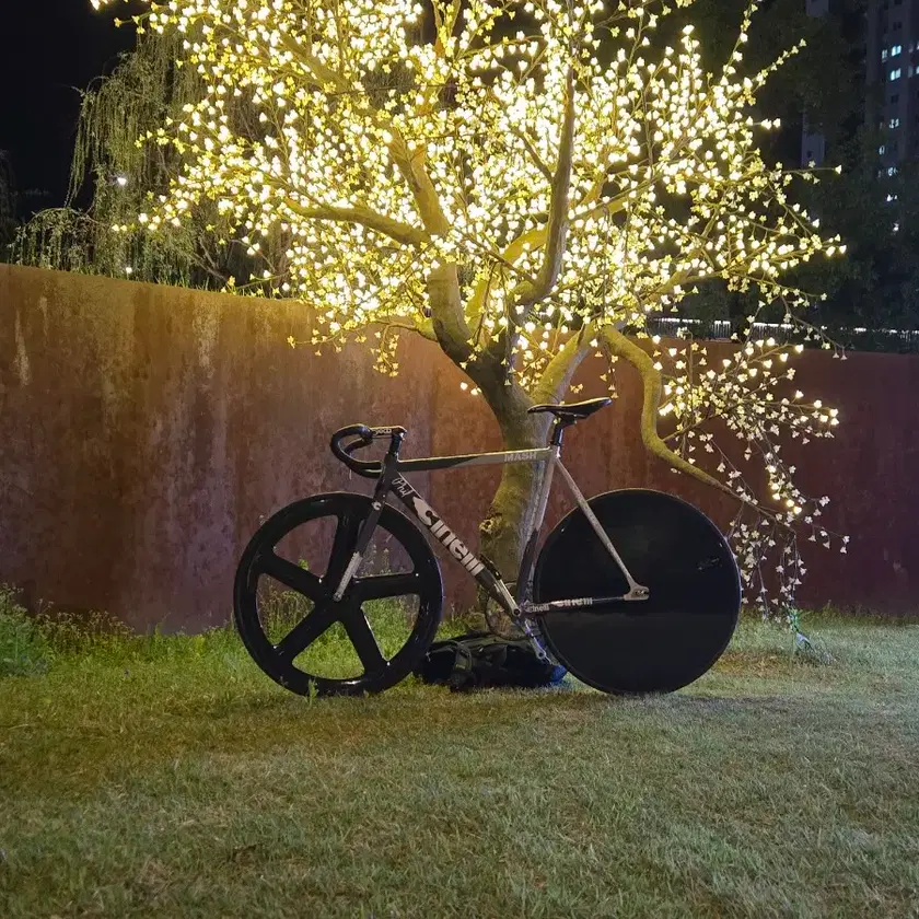 Fixie Carbon Disc Wheel Oval Wheelset #픽시,#카본,#디스크휠,#오발이,#오발디 on ...