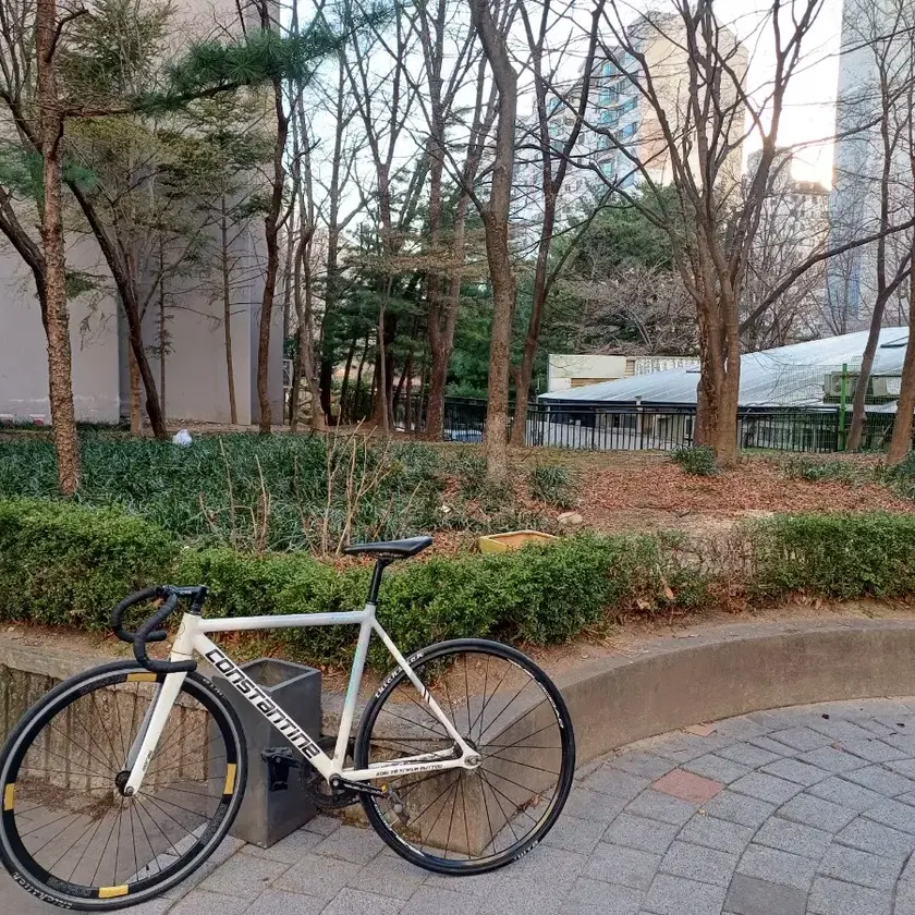 CONSTANTINE | 콘스탄틴 Constantine Drag on Bunjang Global Site.